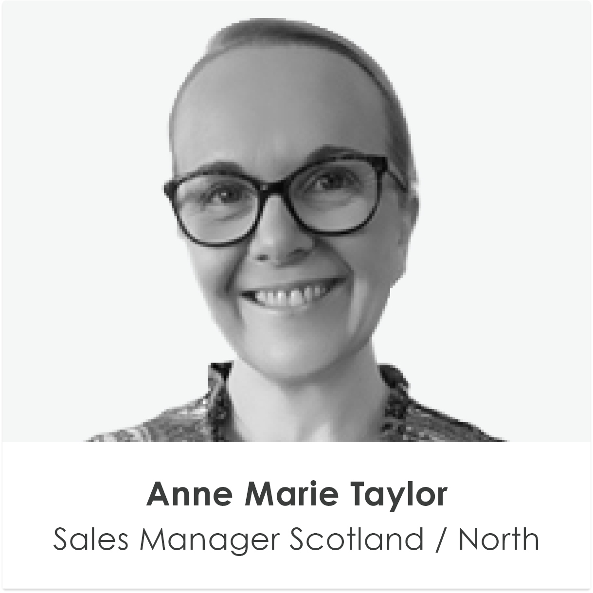 Meet the Team